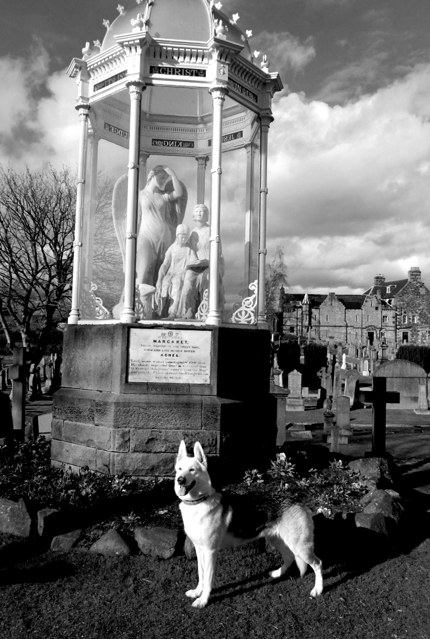 Wolves return to Stirling – The Smith